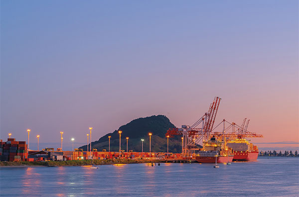 Robots take Port of Tauranga in fresh direction